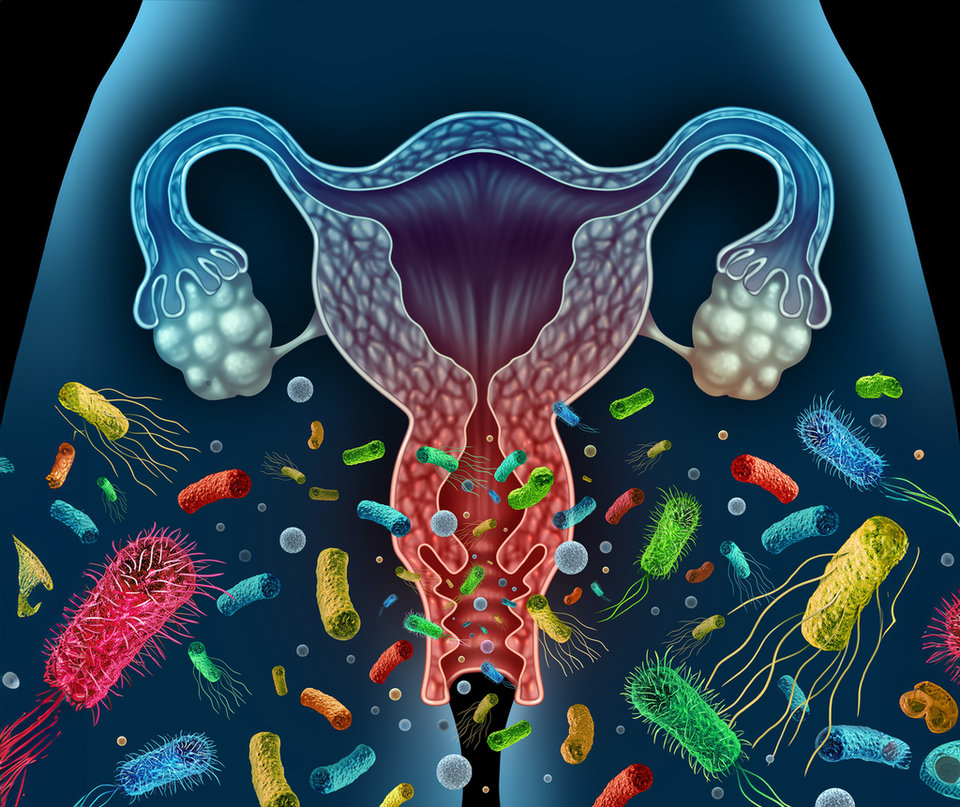 The Vaginal Microbiome – Arbona Health Hub